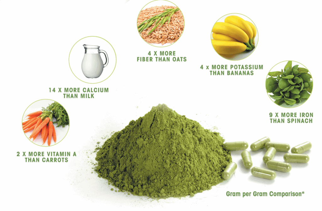 Superfood Spotlight: The Amazing Health Benefits of Moringa